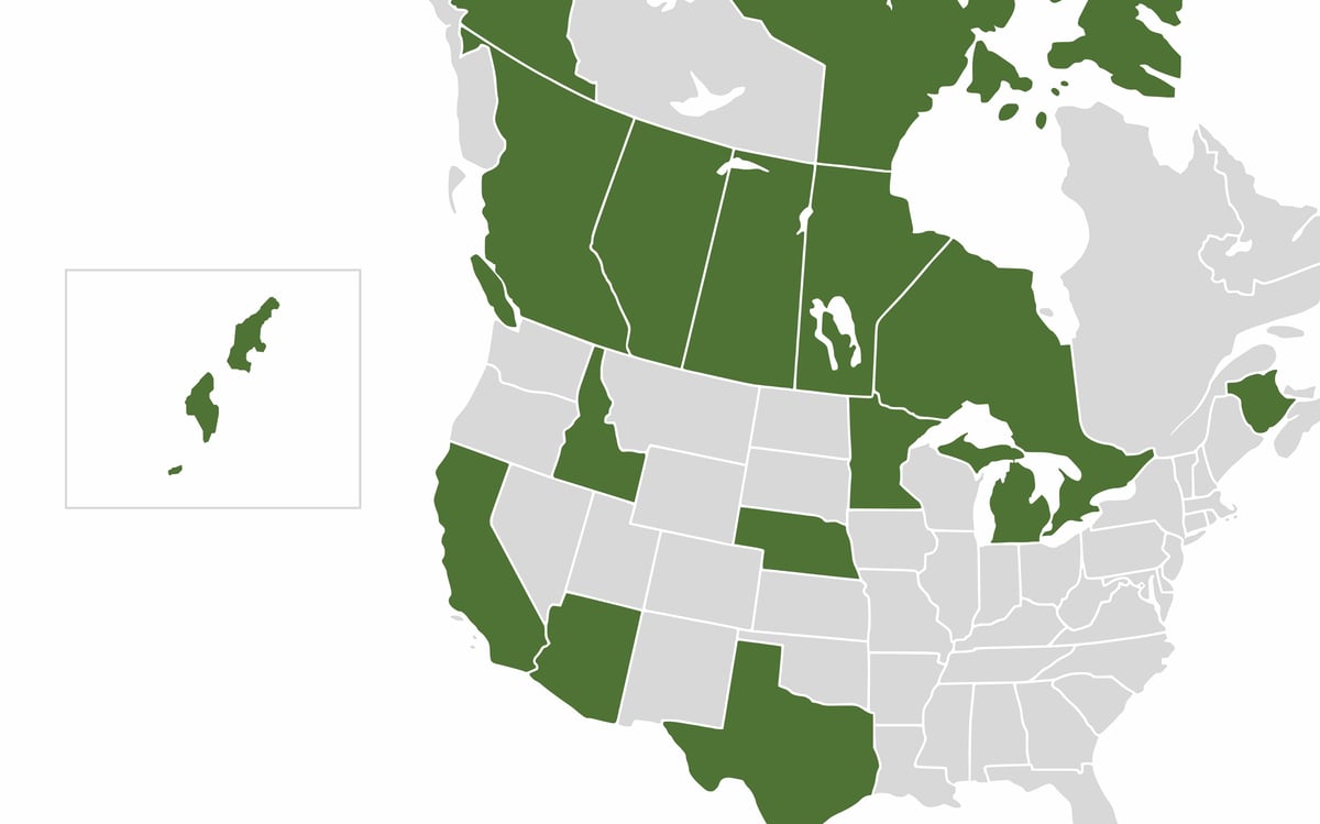 Hedgerow Software Homepage